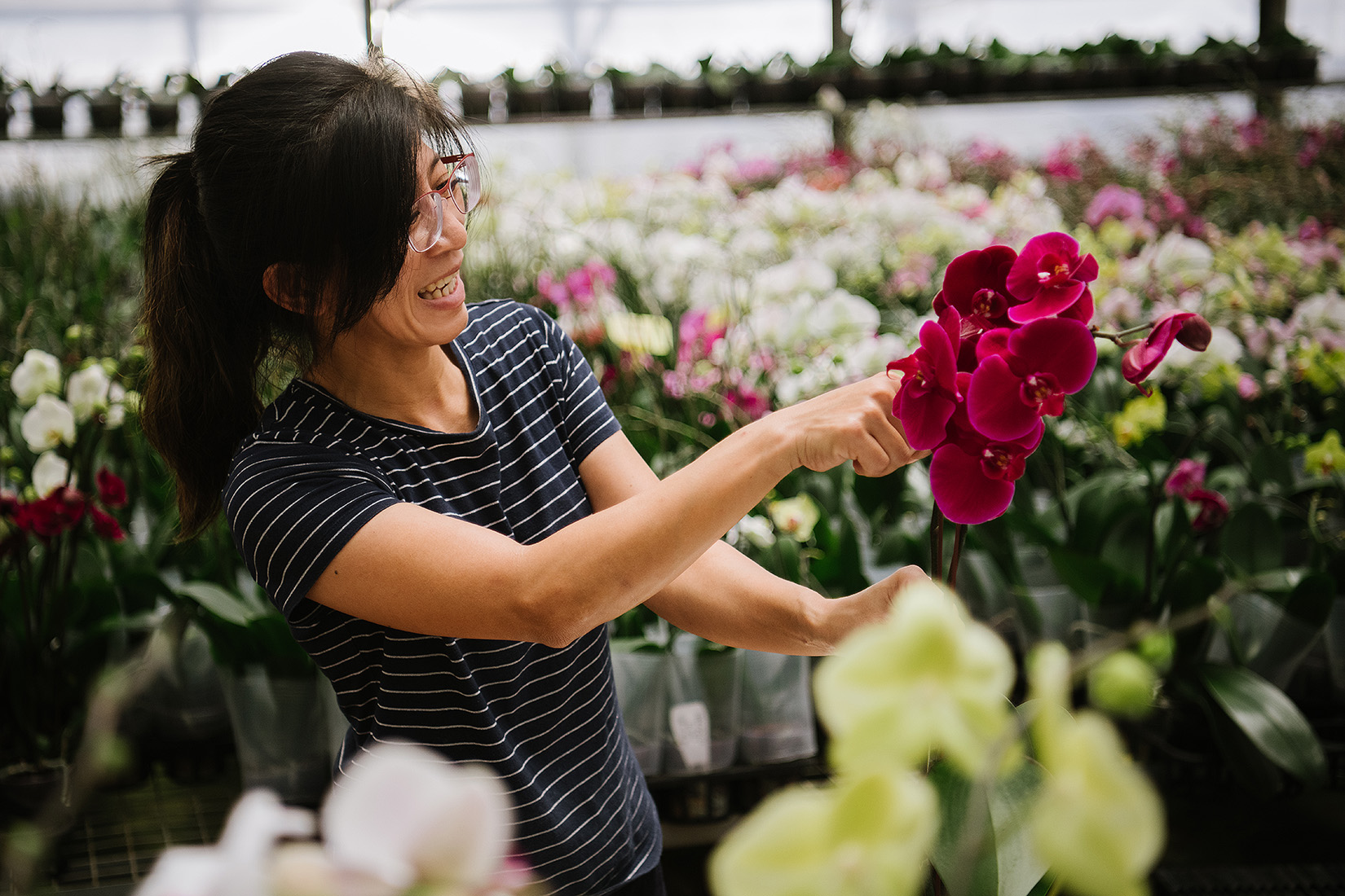 Contact Us - Formosa Orchid Nursery